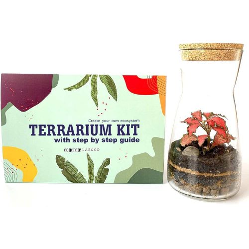 Terrarium Guide - How To Make A Terrarium | Couples Guide To